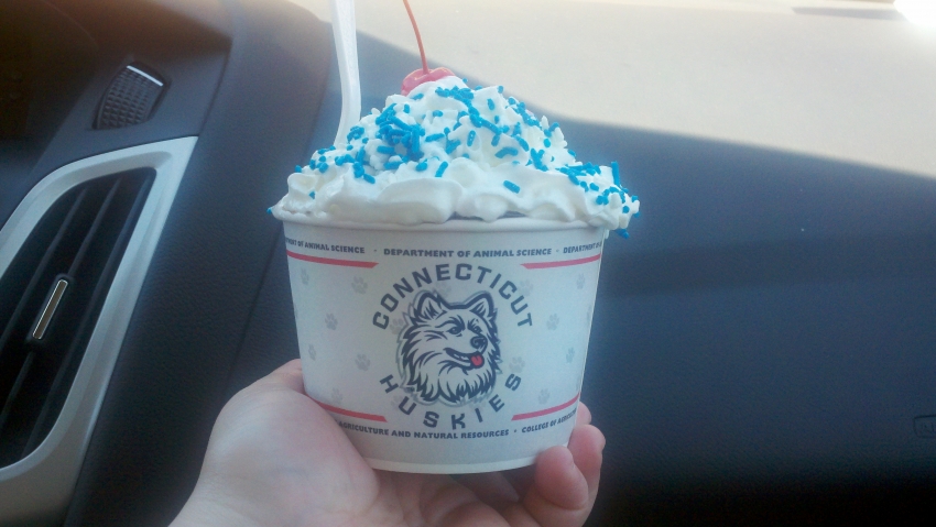UConn Dairy Bar, Storrs | cityseeker