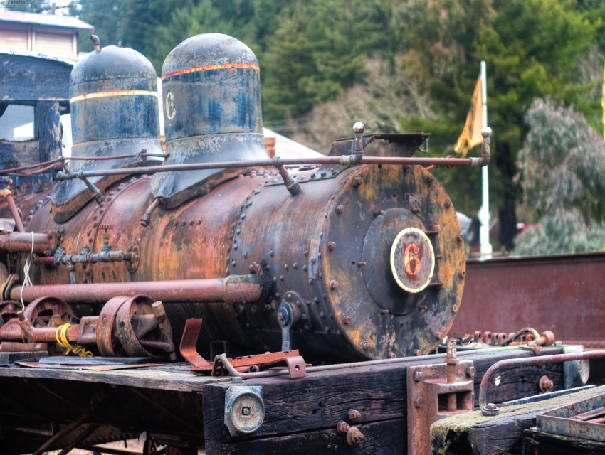 Roaring Camp Railroads, Felton | cityseeker