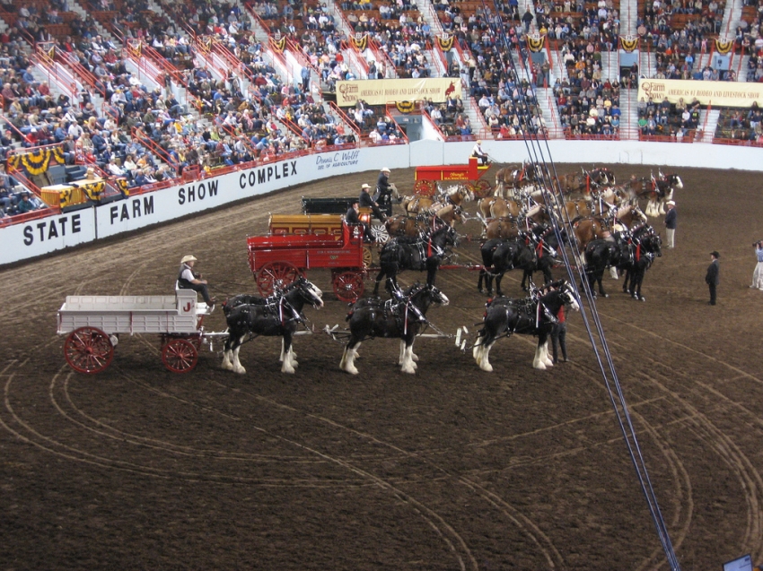Pennsylvania Farm Show Complex & Expo Center, Harrisburg | cityseeker