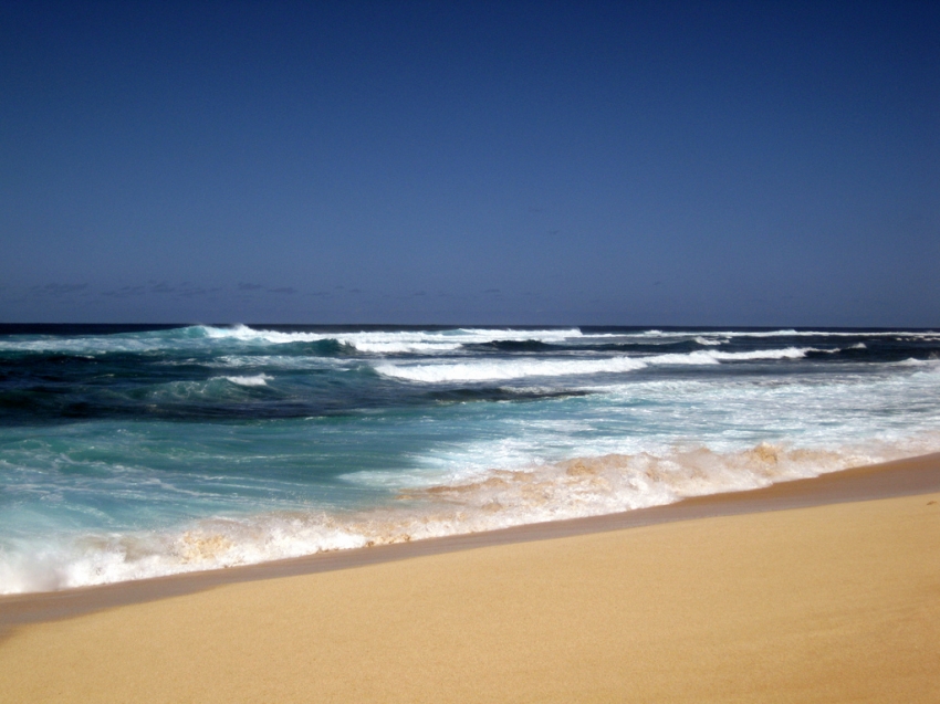 Ehukai Beach Park, Haleiwa | cityseeker