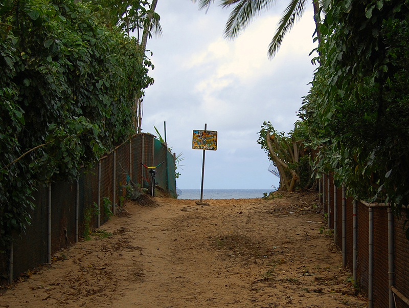 Ehukai Beach Park, Haleiwa | cityseeker