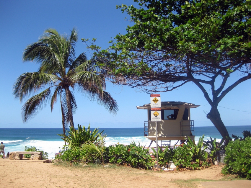 Ehukai Beach Park, Haleiwa | cityseeker