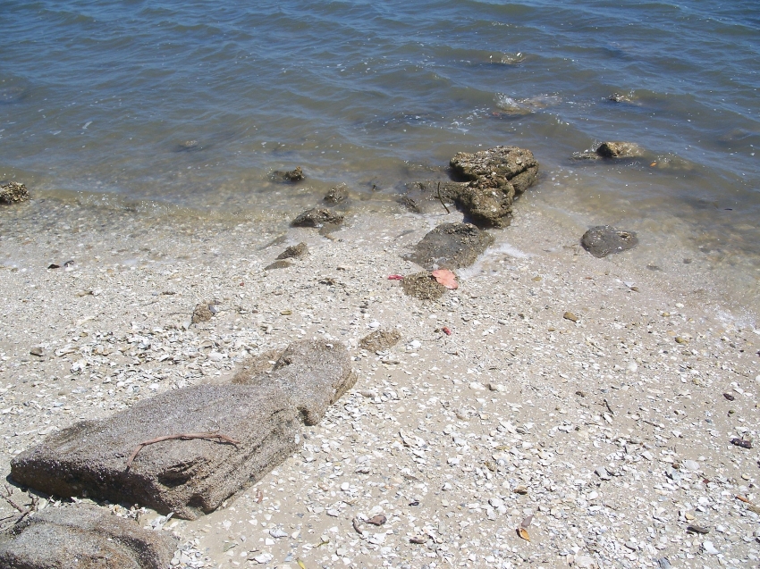 Old Stone Wharf Archaeological Site, Daytona Beach | cityseeker