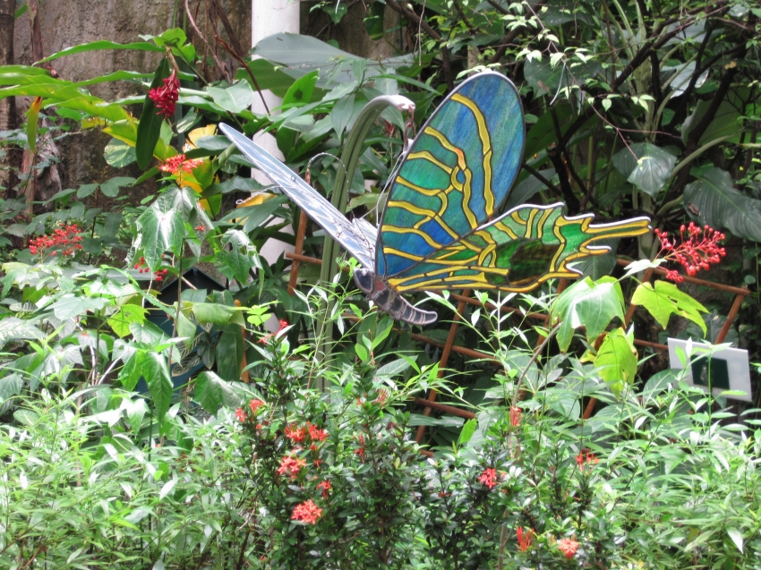 Bangkok Butterfly Garden & Insectarium, Bangkok | cityseeker