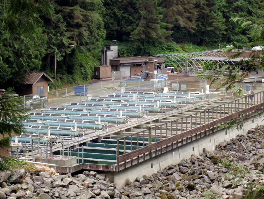 Capilano Fish Hatchery Capilano Fish Hatchery – The Hidden Panorama