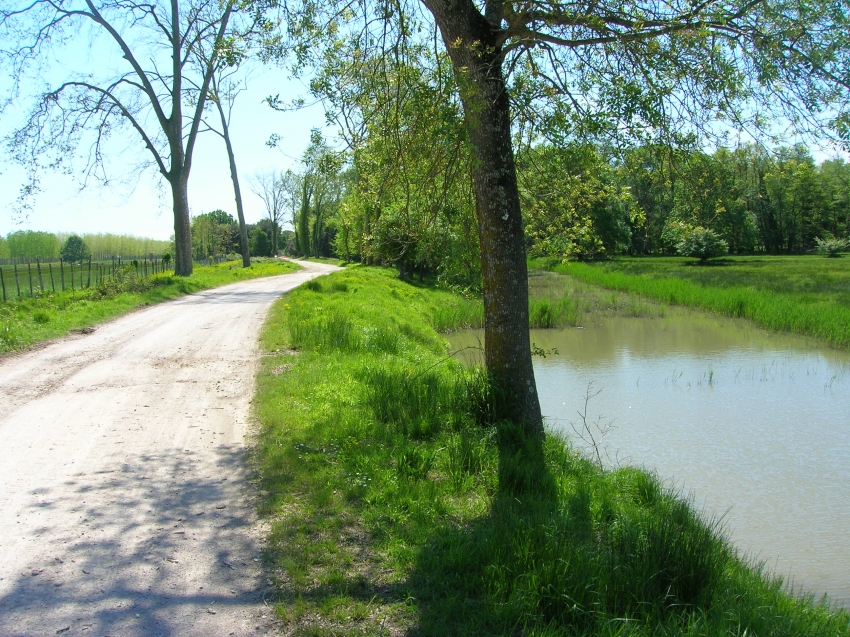 Tenuta San Rossore, Pisa | cityseeker
