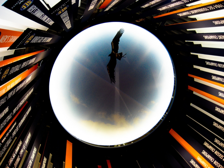 Neville Arena, Auburn | cityseeker