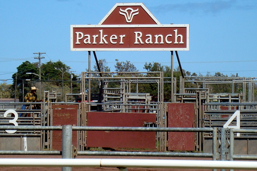 Parker Ranch Rodeo Arena, Kamuela | cityseeker