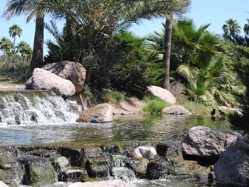 Freestone Park, Scottsdale | cityseeker