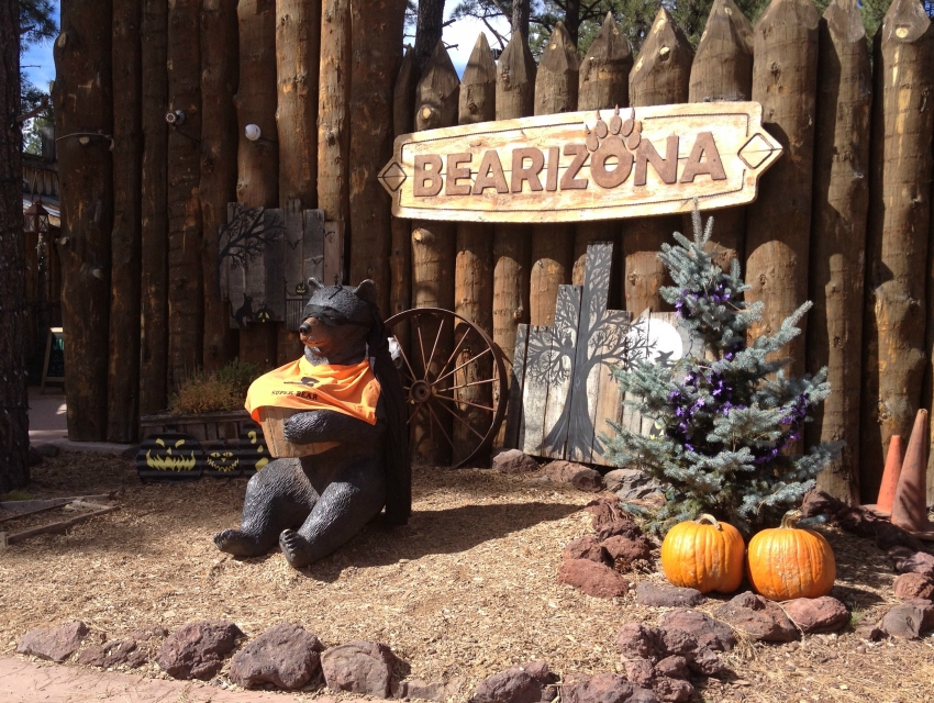 Bearizona Wildlife Park, Williams | cityseeker