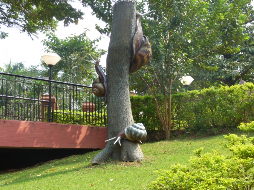 Regional Science Center Park, Bhubaneswar | cityseeker