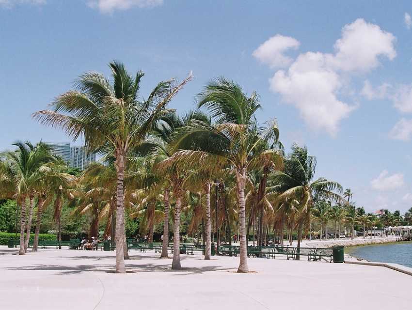 Homestead Bayfront Park Beach, Homestead | cityseeker