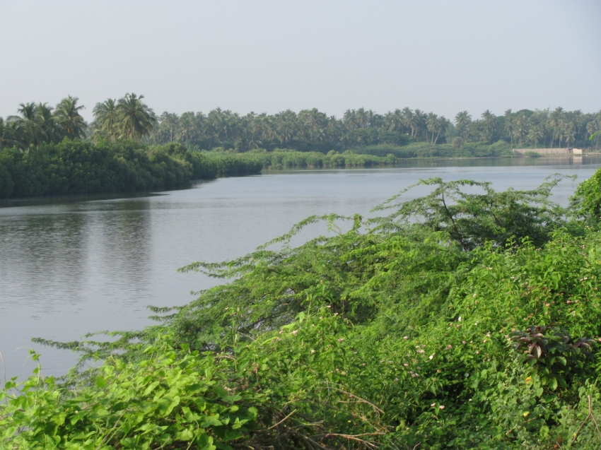 Ariyankuppam River, Puducherry | cityseeker