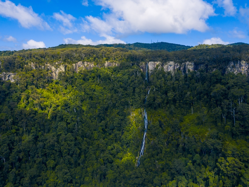 Springbrook National Park, Springbrook | cityseeker