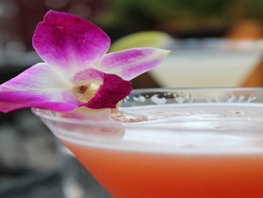 3Fifty Sundays Presents Shot O' Clock, Jun 30th 5:00pm, Detroit ...