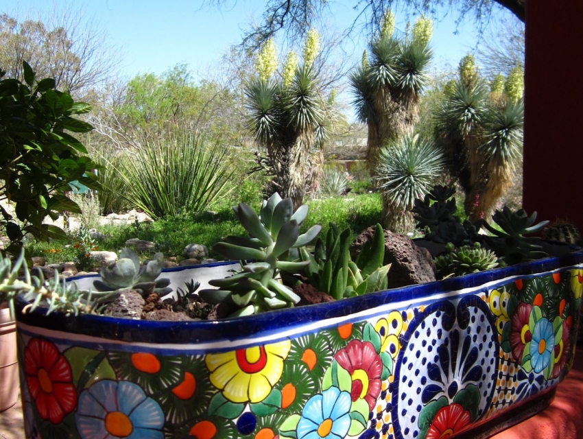 Tucson Botanical Gardens, Tucson | cityseeker
