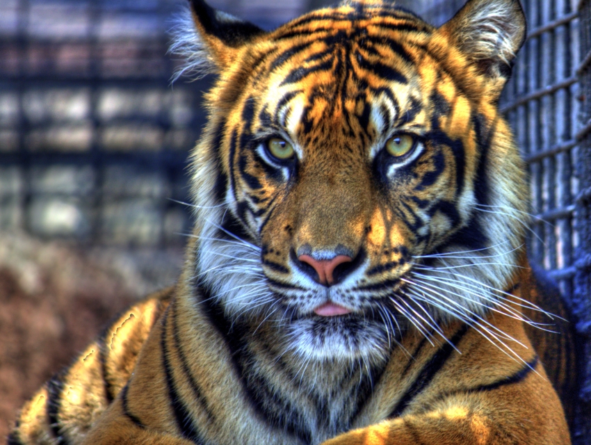 Topeka Zoo, Topeka, eventseeker