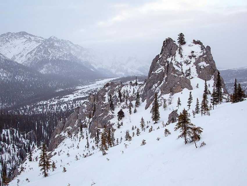 白山国家森林, Campton | cityseeker