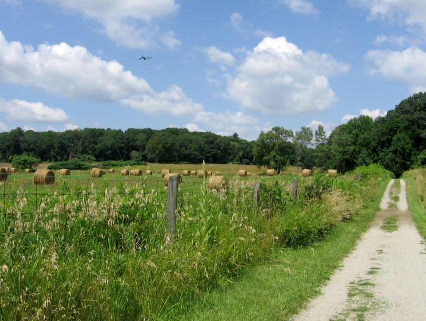 Bronte Creek Provincial Park, Oakville | cityseeker