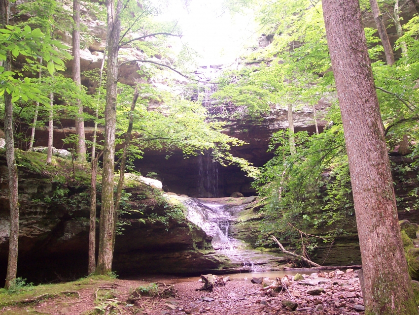 Ferne Clyffe State Park: Things to Know | Cityseeker
