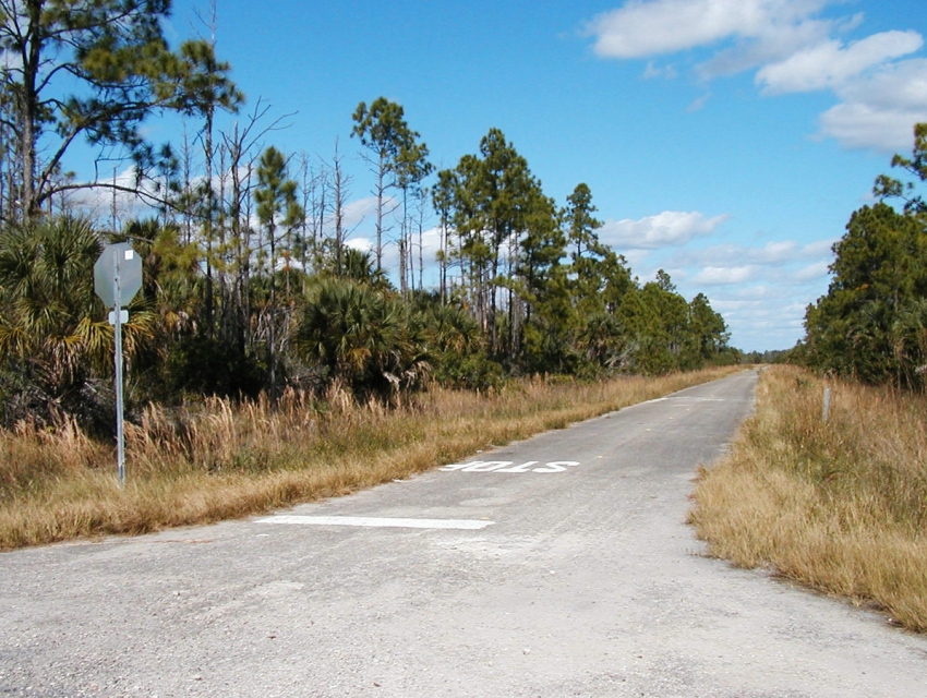 Picayune Strand State Forest, Naples | cityseeker