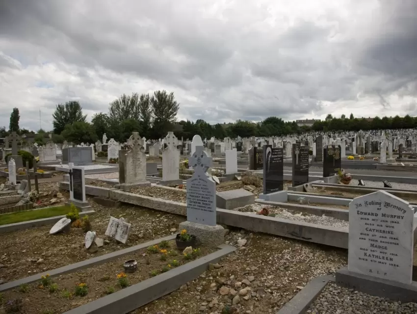 Deans Grange Cemetery, Dublin | cityseeker