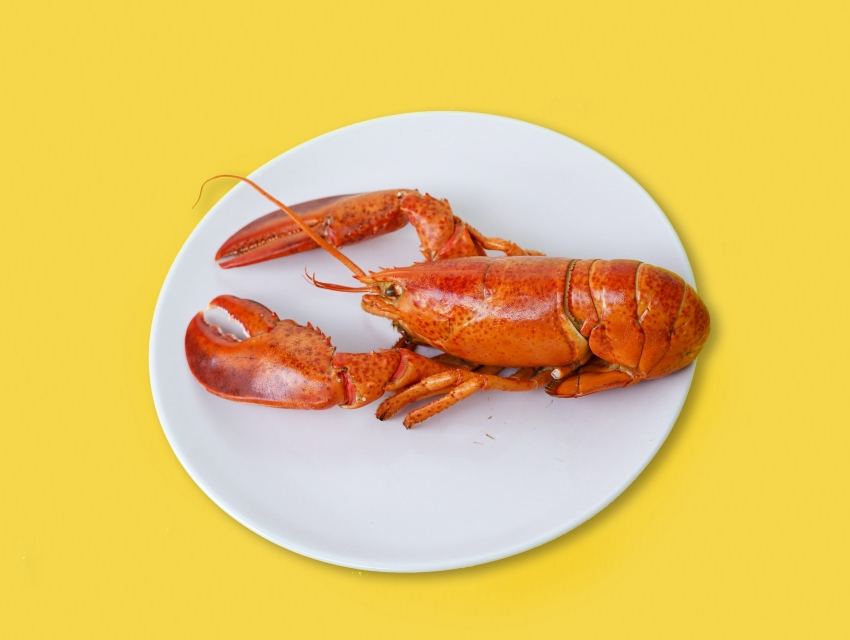River Lobster