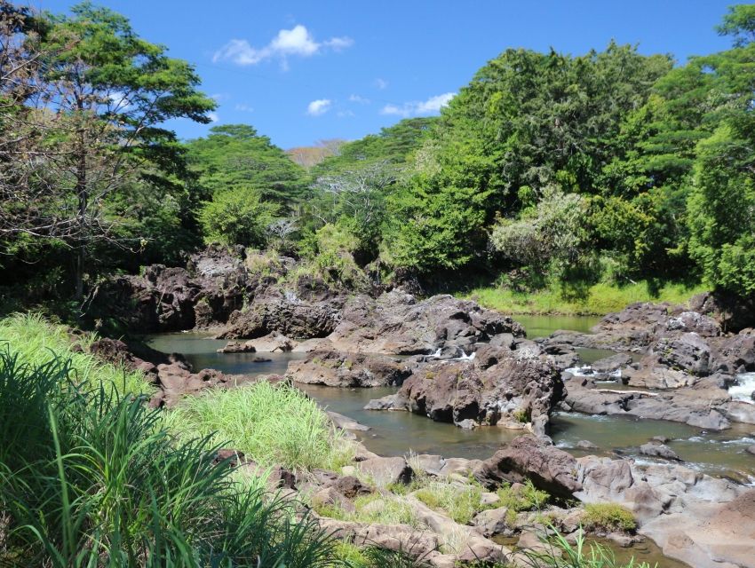 Hilo Shore Excursion: Active Volcano, Lava Tube, Waterfall and Gardens ...