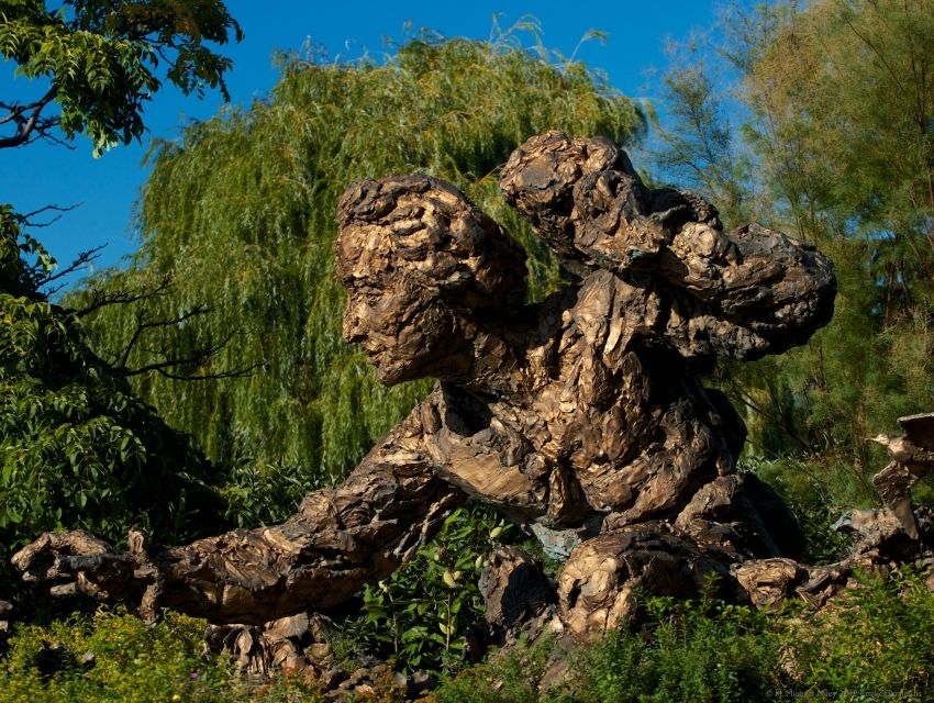 Cook County Forest Preserve District, Chicago | cityseeker