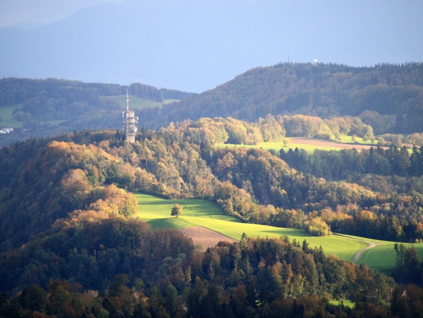 Ferry Ride on Lake Zurich & Cable Car to Felsenegg Viewpoint, Feb 15th ...