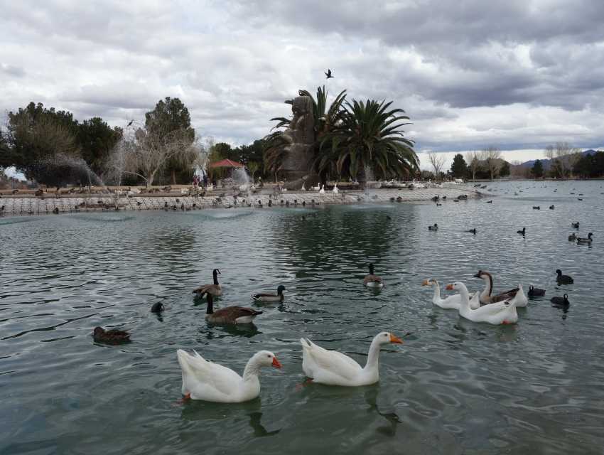 Sunset Park, Las Vegas | cityseeker