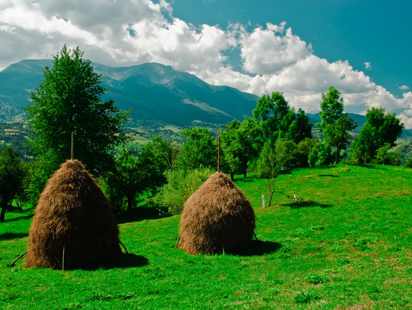 Rodna Mountains National Park, Borșa | cityseeker