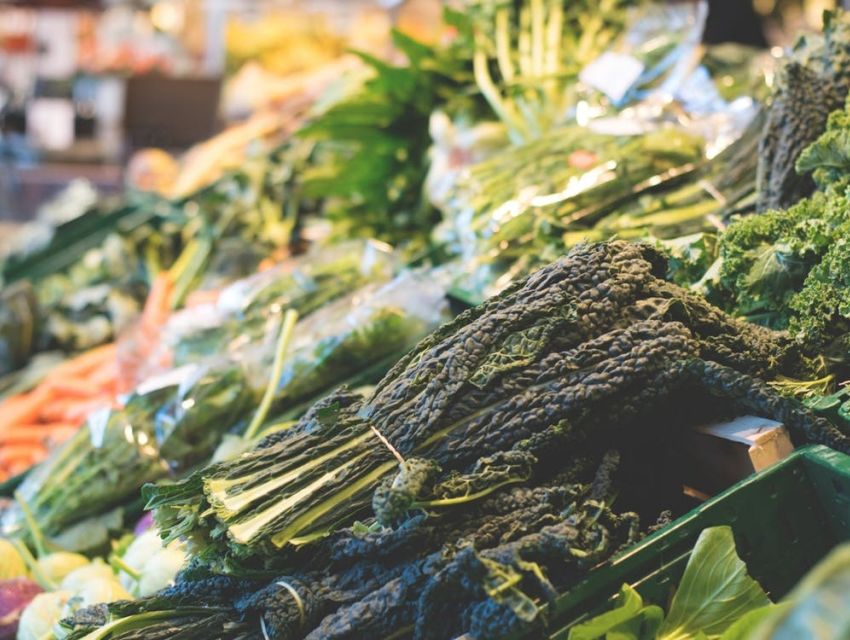 Tropical Plaza, Kingston | cityseeker