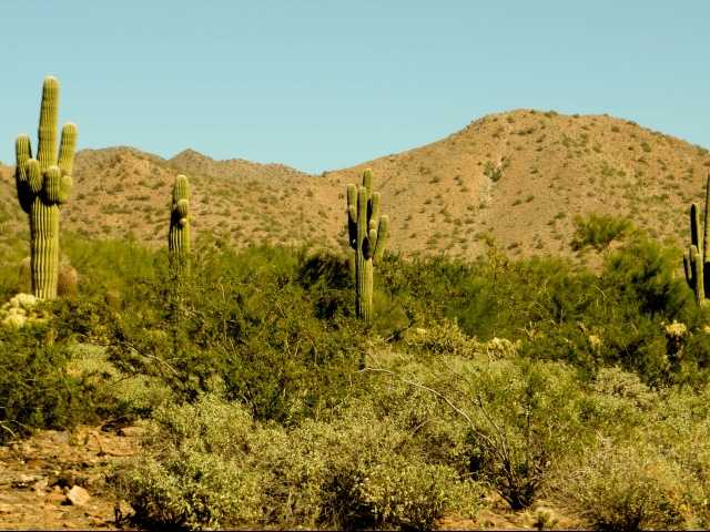 Mayo Clinic Franke Education Center - Waugh Auditorium, Phoenix ...