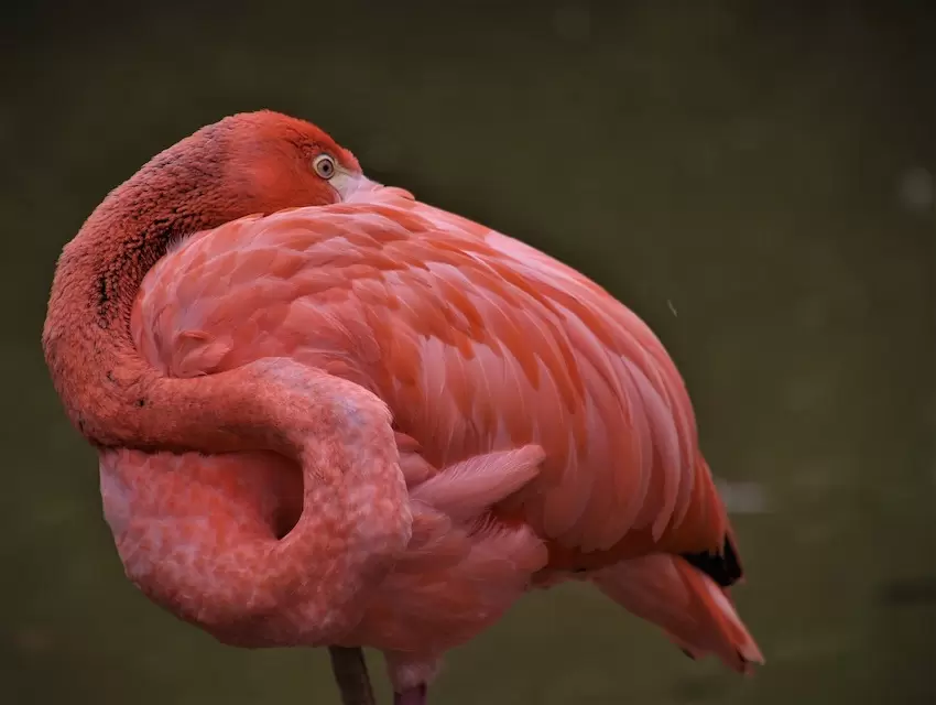 Mundo Park Zoo de Sevilla, Seville | cityseeker